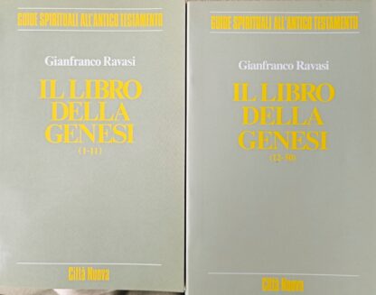 Il libro della genesi usato - Il volo pindarico libri usati